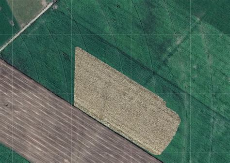 boundary cropping differences between presets odm opendronemap