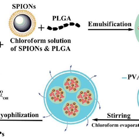 Schematic Representation Of Nps And The Progress Of Preparation Dox Download Scientific