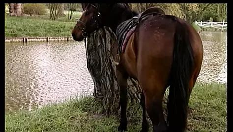 Backey Jakic Porn Videos 2024 Porn Star Sex Scenes Xhamster