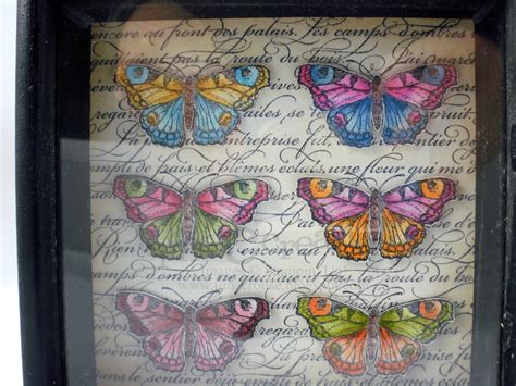 All A Flutter Shadow Box