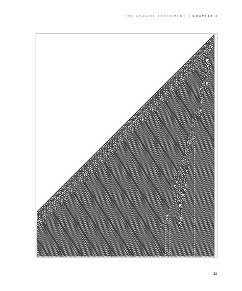 How Do Simple Programs Behave A New Kind Of Science Online By Stephen Wolfram Page 33