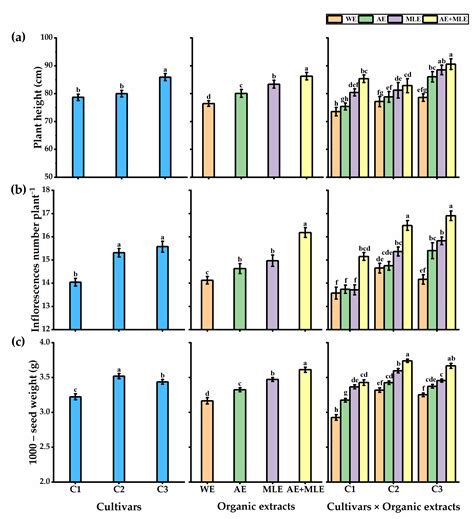 Agronomy Free Full Text Growth Yield Quality And Phytochemical Behavior Of Three