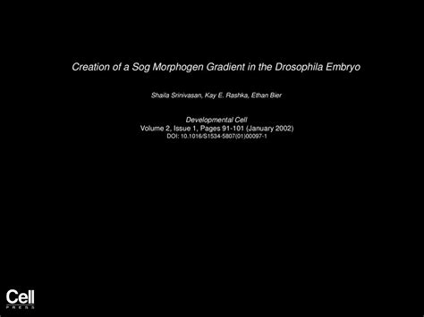 Creation Of A Sog Morphogen Gradient In The Drosophila Embryo Ppt
