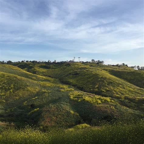 Marina Hills Park Marina Hills 153 Visitors