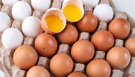Can You Leave Eggs Out On The Counter Power Up Cook