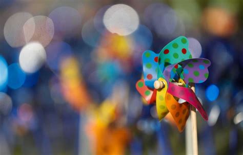 Chronicle Responds To Dalton Sex Ed Controversy Rhouston