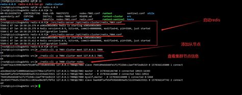 三、redis集群添加节点 反骨少年 博客园