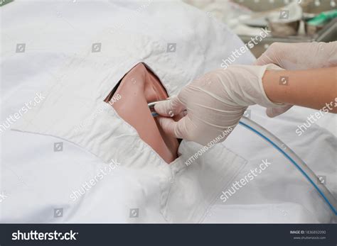 Tube Thoracostomy Procedure At Mary Kemp Blog