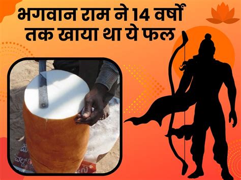 Kandmool Phal Ke Fayde भगवान श्रीराम ने 14 सालों तक किया था इस फल का