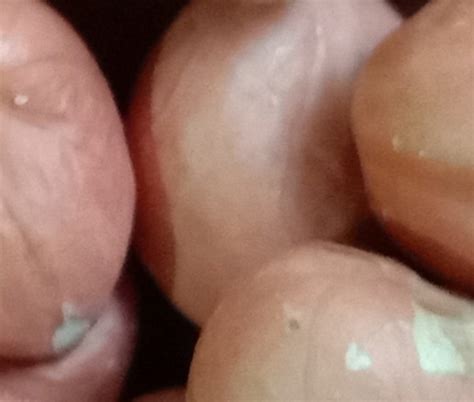 Groundnut Seed At Best Price In Jawad Madhya Pradesh Rb Agro Industry