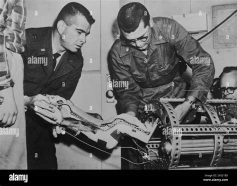 Miss Sam The Female Monkey Is Lifted From The Biopack In Which She