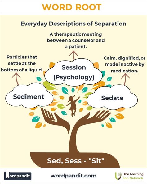 Word Root Sed Sess Wordpandit
