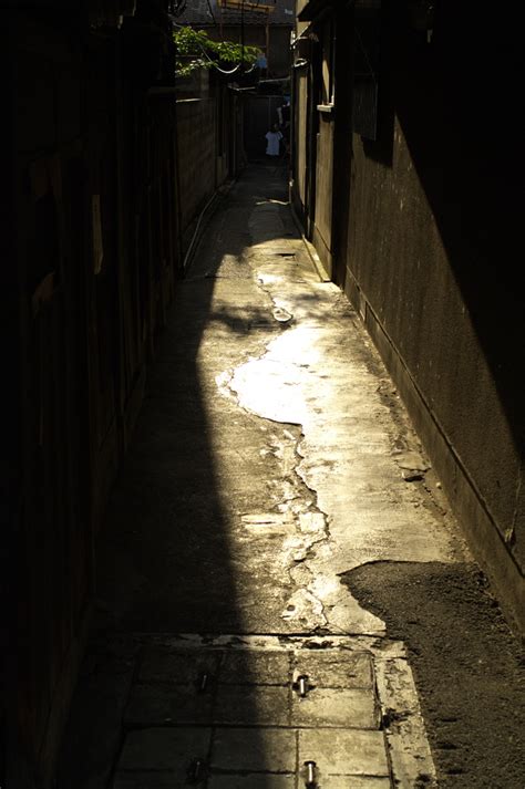 路地に差すあかり By ダイコン （id：11651251） 写真共有サイトphotohito