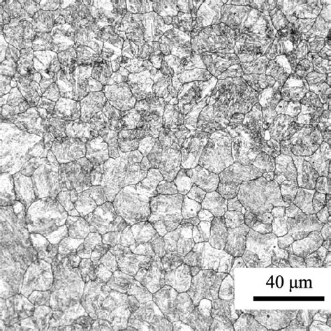 Microstructure Of The Tested Steel Download Scientific Diagram