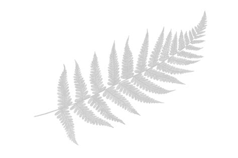 Landscaping Ivanhoe Sanctuary Water Gardens