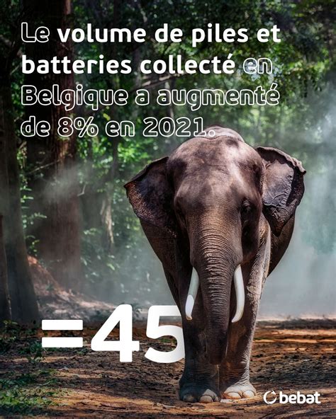Bebat Batterie Pile Recycler Collecter Durabilité Rapportannuel
