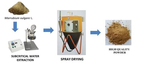 Spray Drying Herbal Extracts At Violet Charette Blog
