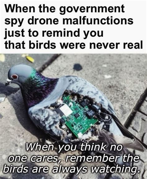Still Not Real Birdsarentreal Memes Music Comedy Themoreyouknow