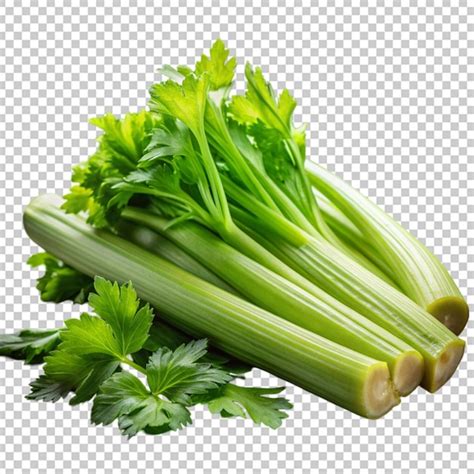 Page 2 Pascal Celery Psd 4000 High Quality Free Psd Templates For