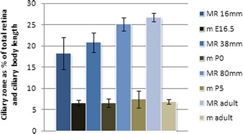 Comparison Of The Relative Ciliary Body Zone Size And Growth Dynamics