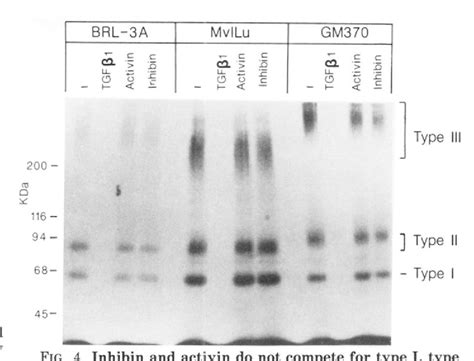 Figure 1 From A Surface Component On Gh3 Pituitary Cells That