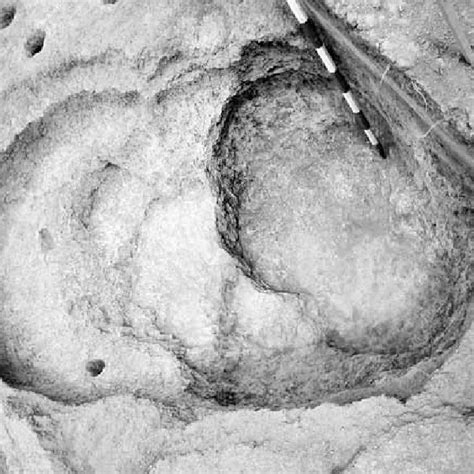Pdf CercetĂrile Arheologice De La Foeni SeliŞte Jud TimiŞ Raport Preliminar