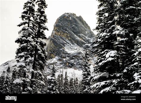 Riesiger Berg Fotos Und Bildmaterial In Hoher Auflösung Alamy