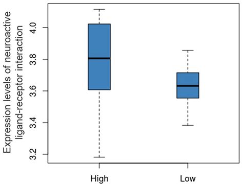 The Expression Levels Of Neuroactive Ligand Receptor Interaction Download Scientific Diagram
