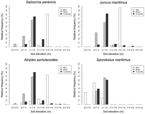 The Importance Of Soil Elevation And Hydroperiods In Salt Marsh