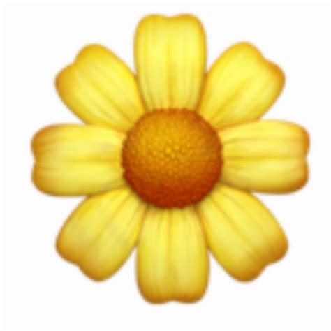 Raween🌼🍃 Youtube