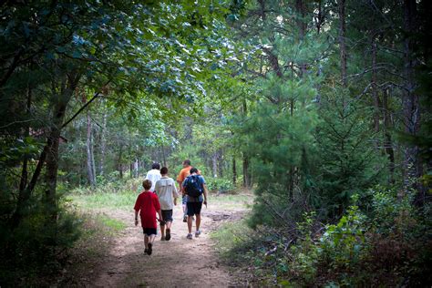 Mike Seroni Goes To Summer Camp Workbook Weekly