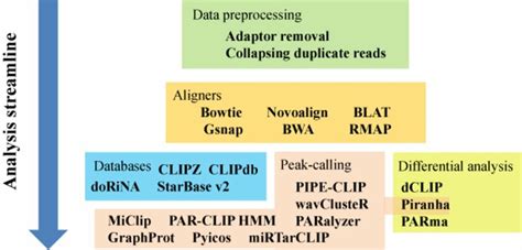 Summary Of The Analysis Software Pipelines And Databases For Clip Seq
