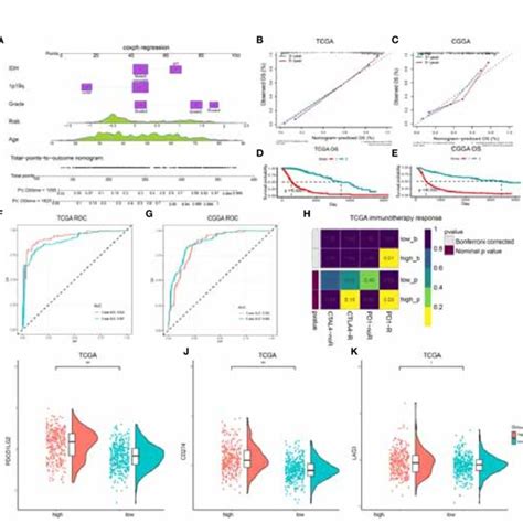 a nomogram for predicting os of patients in the tcga dataset a the