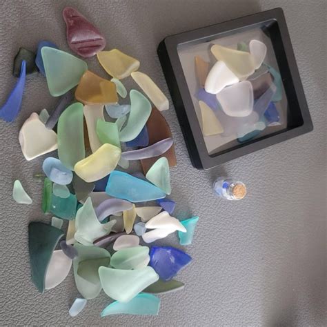 100pc Micro Sea Shells — Tiny Snail Shells — Tiny Shells For Crafting Nail Art Terrariums