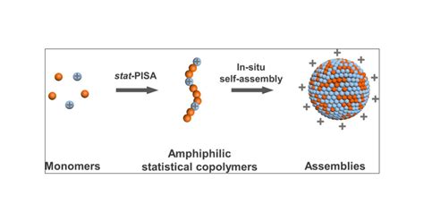 Statistical Copolymerization Induced Self Assembly Acs Macro Letters