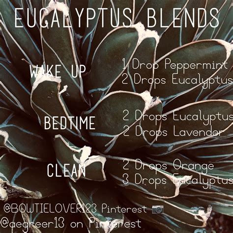 Refreshing Eucalyptus Diffuser Blend
