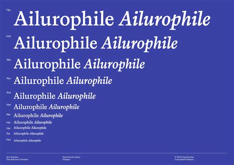 Type Specimen Template — Type Design Class Type Specimen Template — Type Design Class