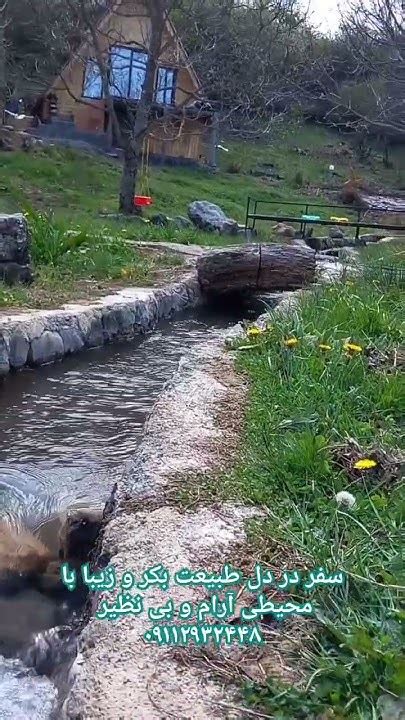 مجموعه گردشگری تفریحی باغ بهشت زانوس در وسط جنگل سوئیت کلبهسوئیسی ویلاجنگلی زانوسکلبه