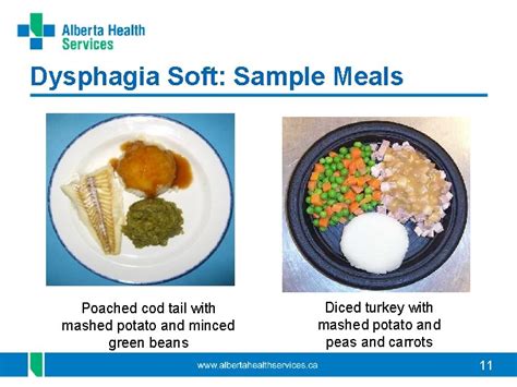 Preparing Texture Modified Foods A Training Program For