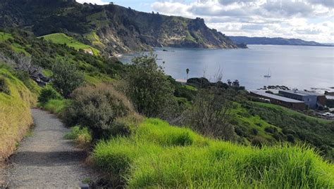 Goat Island Walkway Cape Rodney Okakari Point Marine Reserve Goat
