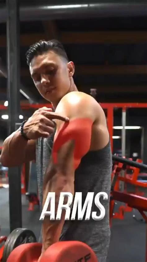 Shoulder Workout Ark Fitness Part 88 Artofit