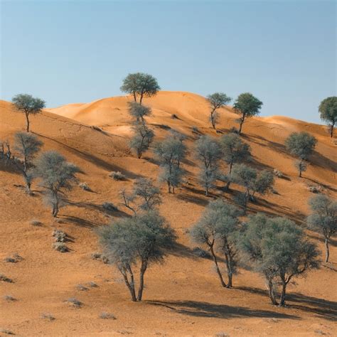 Ear To The Ground Teleseen Exposures Ep Heist Londonhousemusic