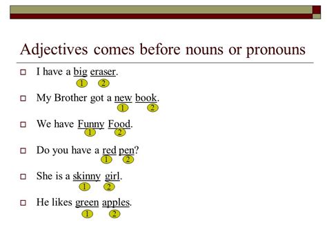 Adjectives Before Nouns