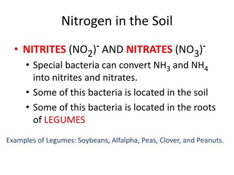Ppt Nitrogen Cycle Powerpoint Presentation Free Download Id 5497134