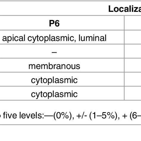 Ihc Analysis Of Csc Marker Expression In Pdac Tumor Samples Download Table