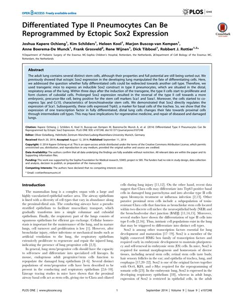 Pdf Differentiated Type Ii Pneumocytes Can Be Reprogrammed By Ectopic