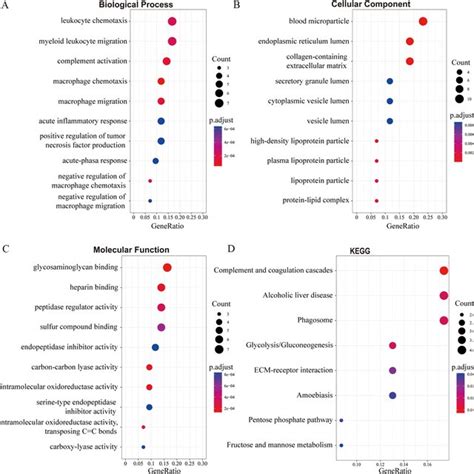 Functional Annotation And Enrichment Analysis Of The Differentially