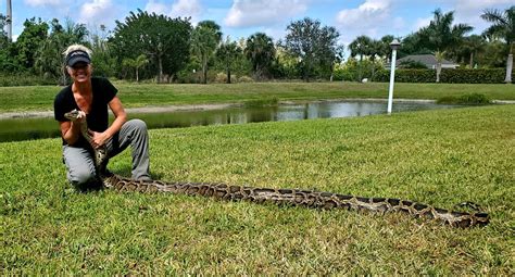 Python Huntress Fashion Brand Forge Unlikely Partnership Sarasota