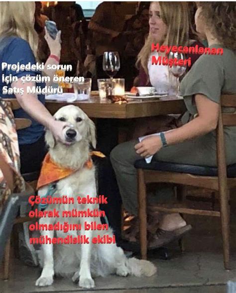 İlayda Şahin Erdoğan Linkedinde Yayınladı