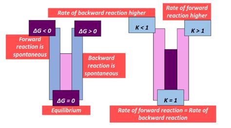 Delta G Rtlnk Equation Problems Formulas Units
